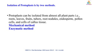 Protoplast culture is a plant cell without cell wall | PPTX ...
