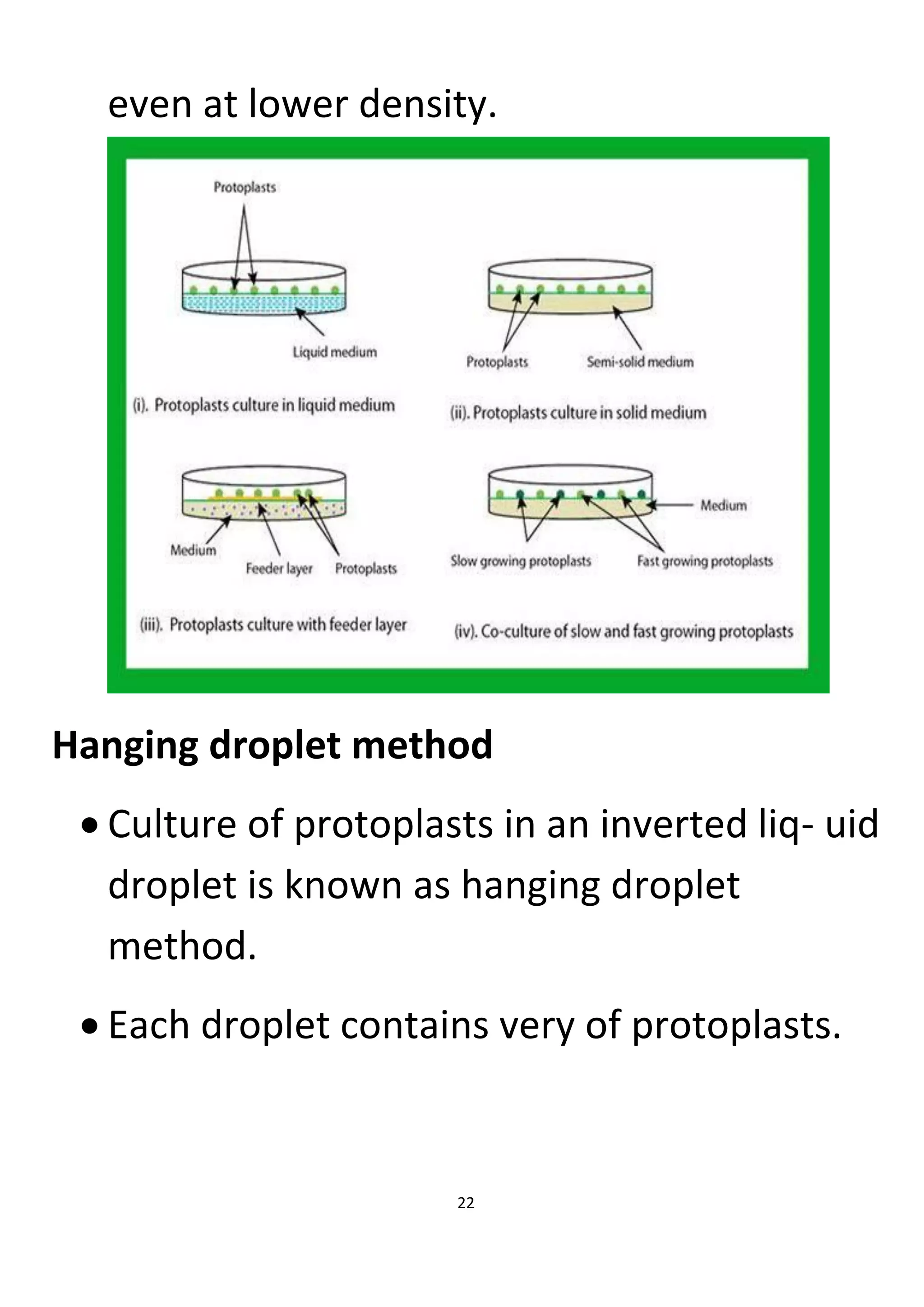 Protoplast culture and fusion | PDF