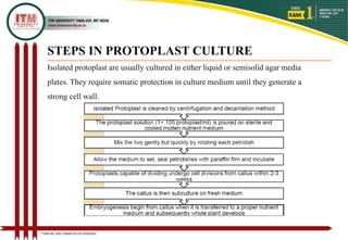Protoplast culture and somatic hybridaization.pptx