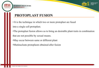 Protoplast culture and somatic hybridaization.pptx
