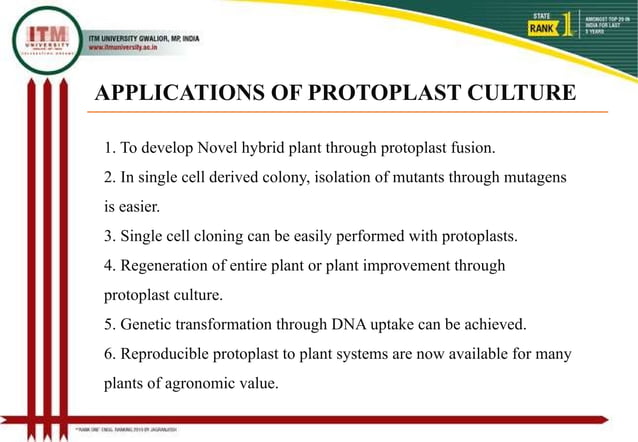 Protoplast culture and somatic hybridaization.pptx