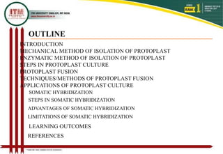 Protoplast culture and somatic hybridaization.pptx
