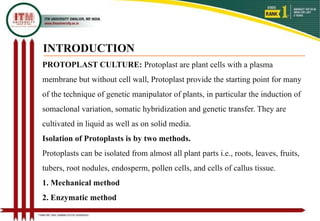 Protoplast culture and somatic hybridaization.pptx
