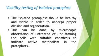 Protoplast culture By Manoj K Mishra.pptx
