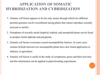 Protoplast fusion | PPTX