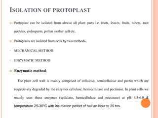 Protoplast fusion | PPTX