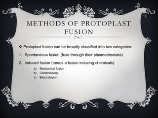 Protoplast Fusion | PPT