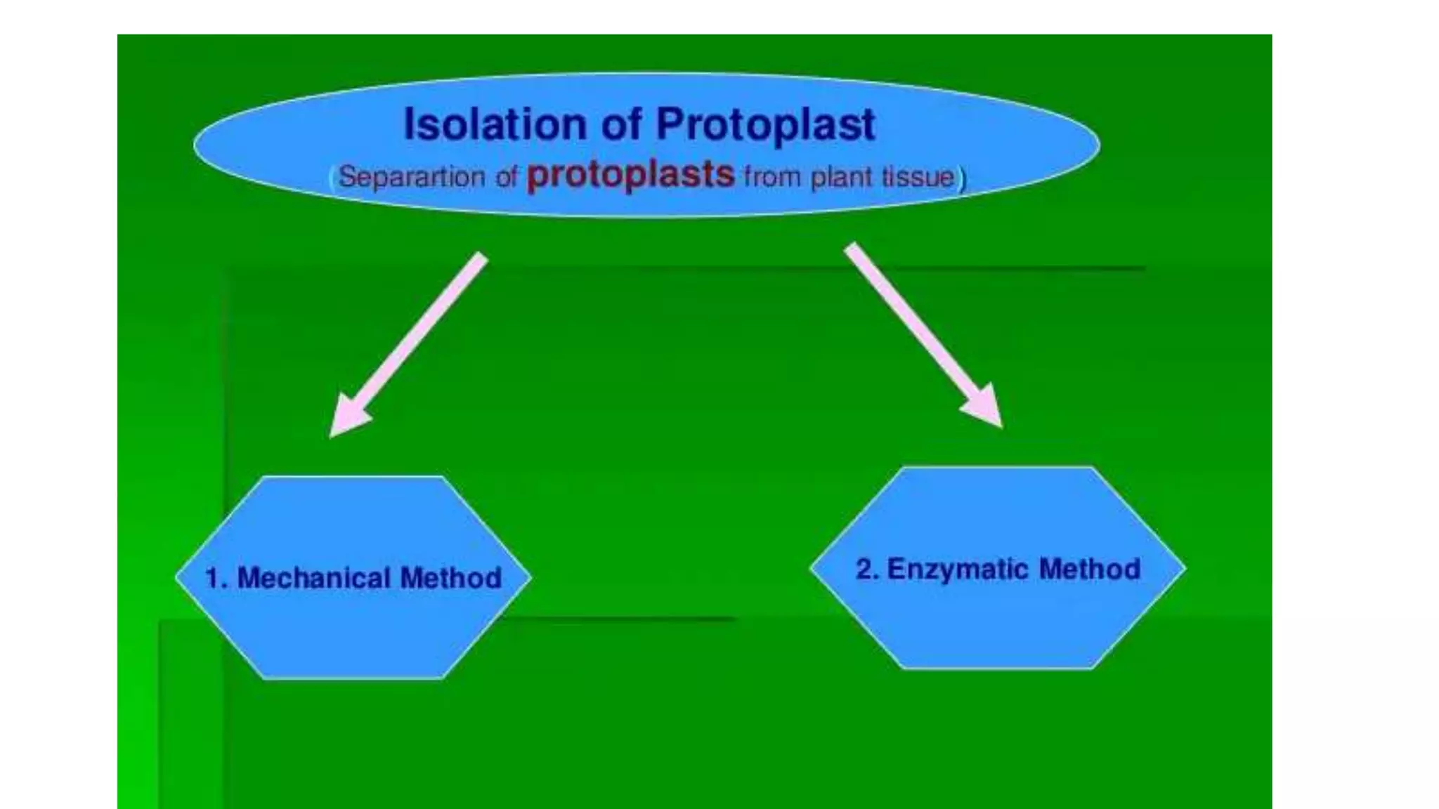 Protoplast fusion and somatic hybridization | PPTX