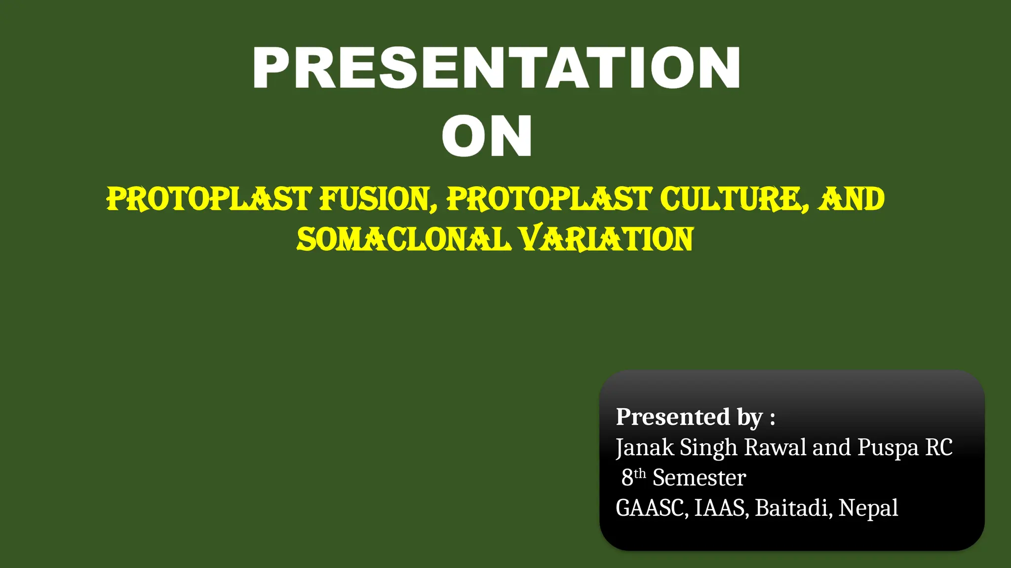 protoplast fusion protoplast culture and somaclonal variation.pptx