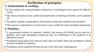 protoplast fusion protoplast culture and somaclonal variation.pptx