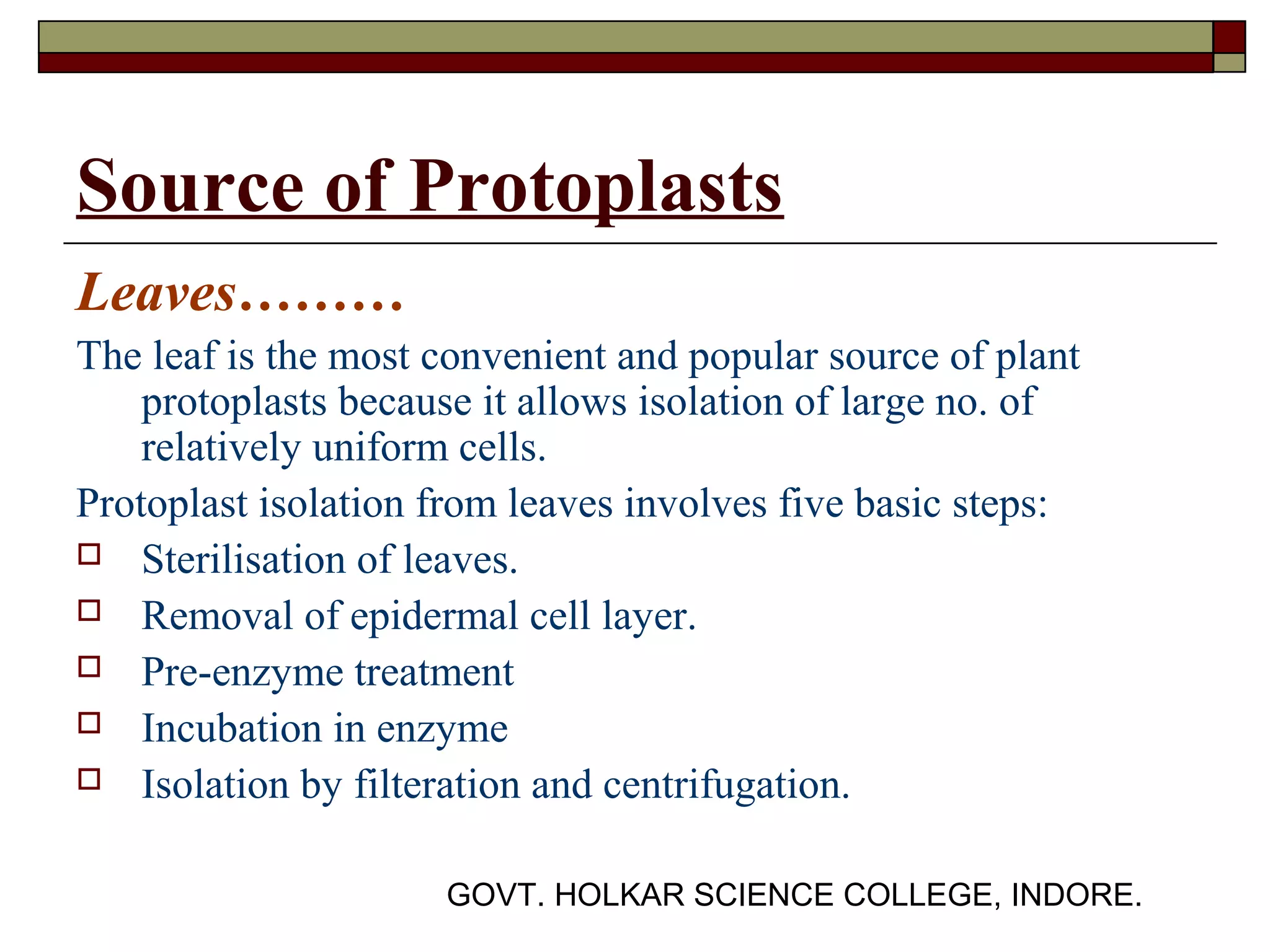 Protoplast isolation | PPT