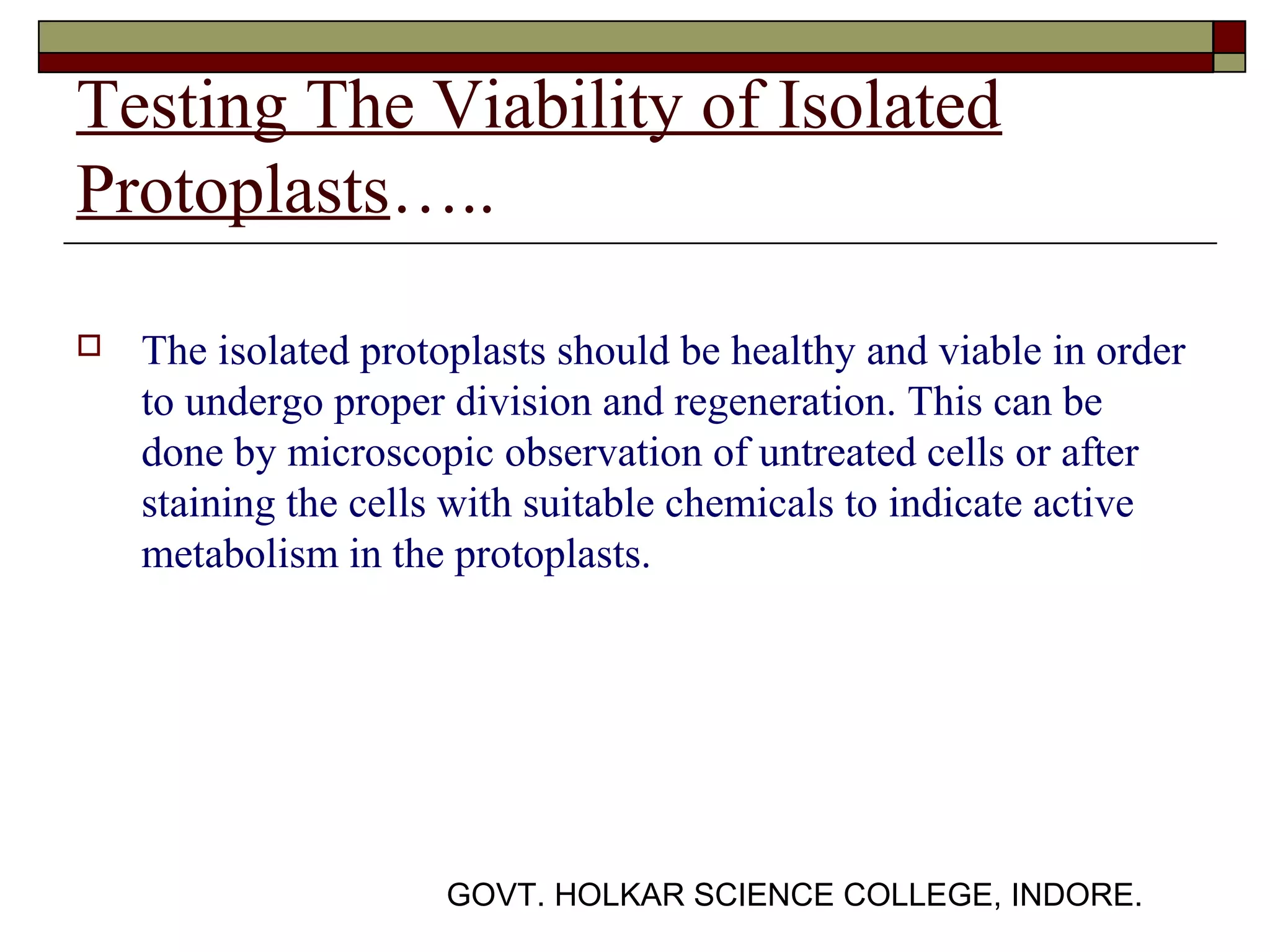 Protoplast isolation | PPT