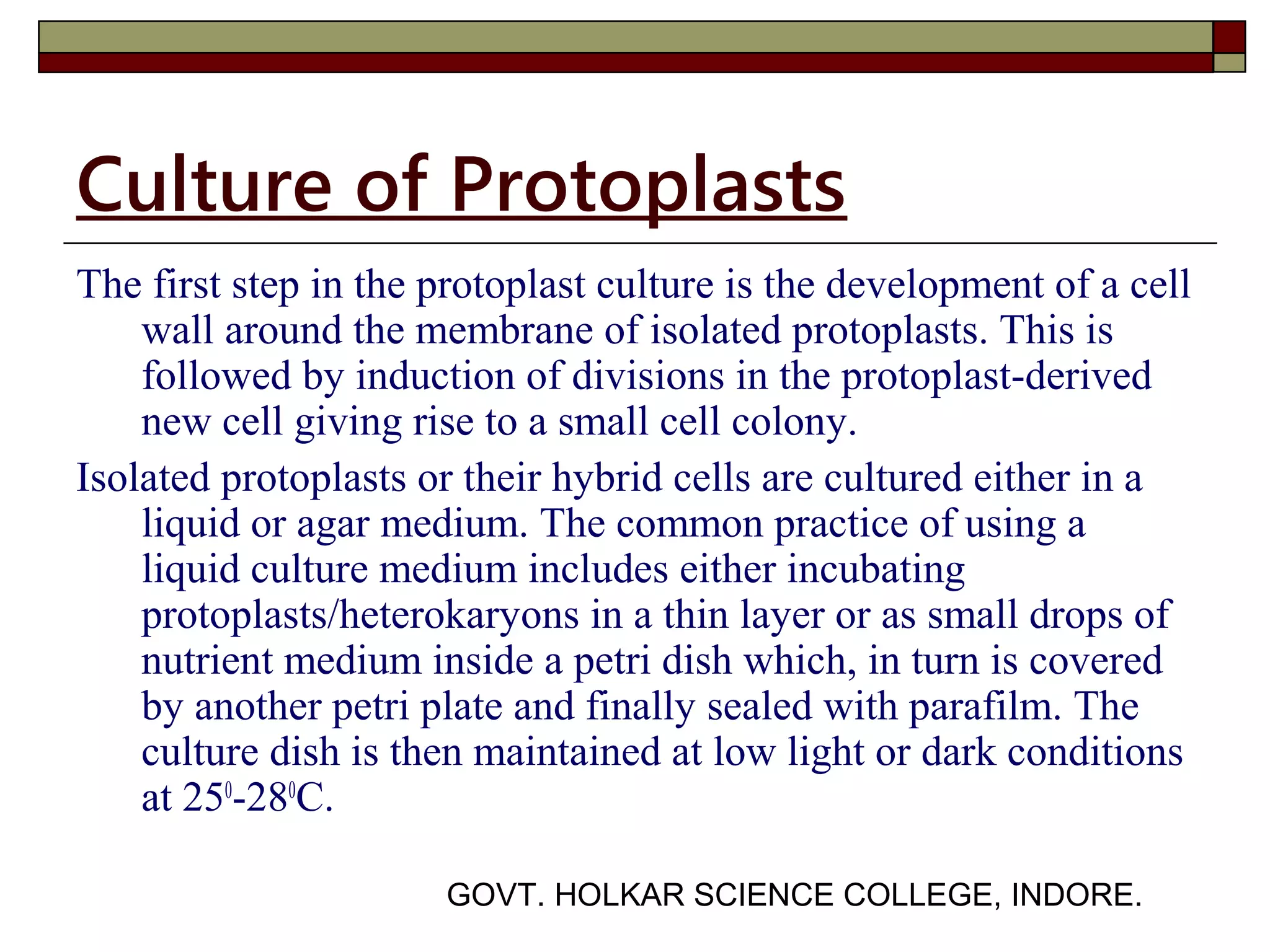Protoplast isolation | PPT
