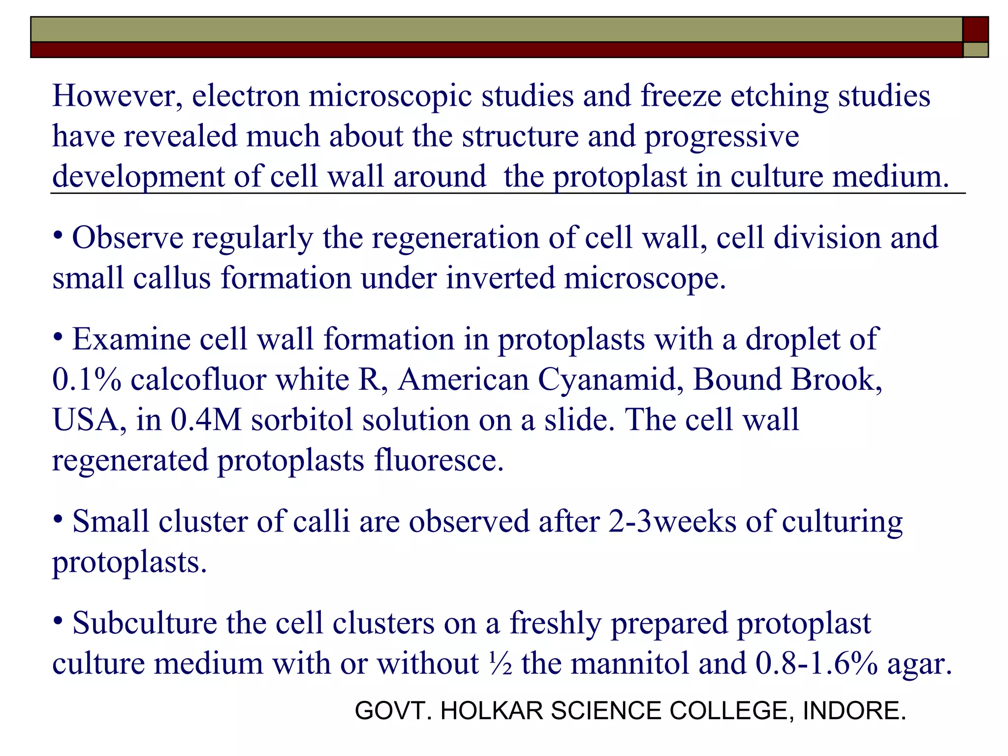 Protoplast isolation | PPT