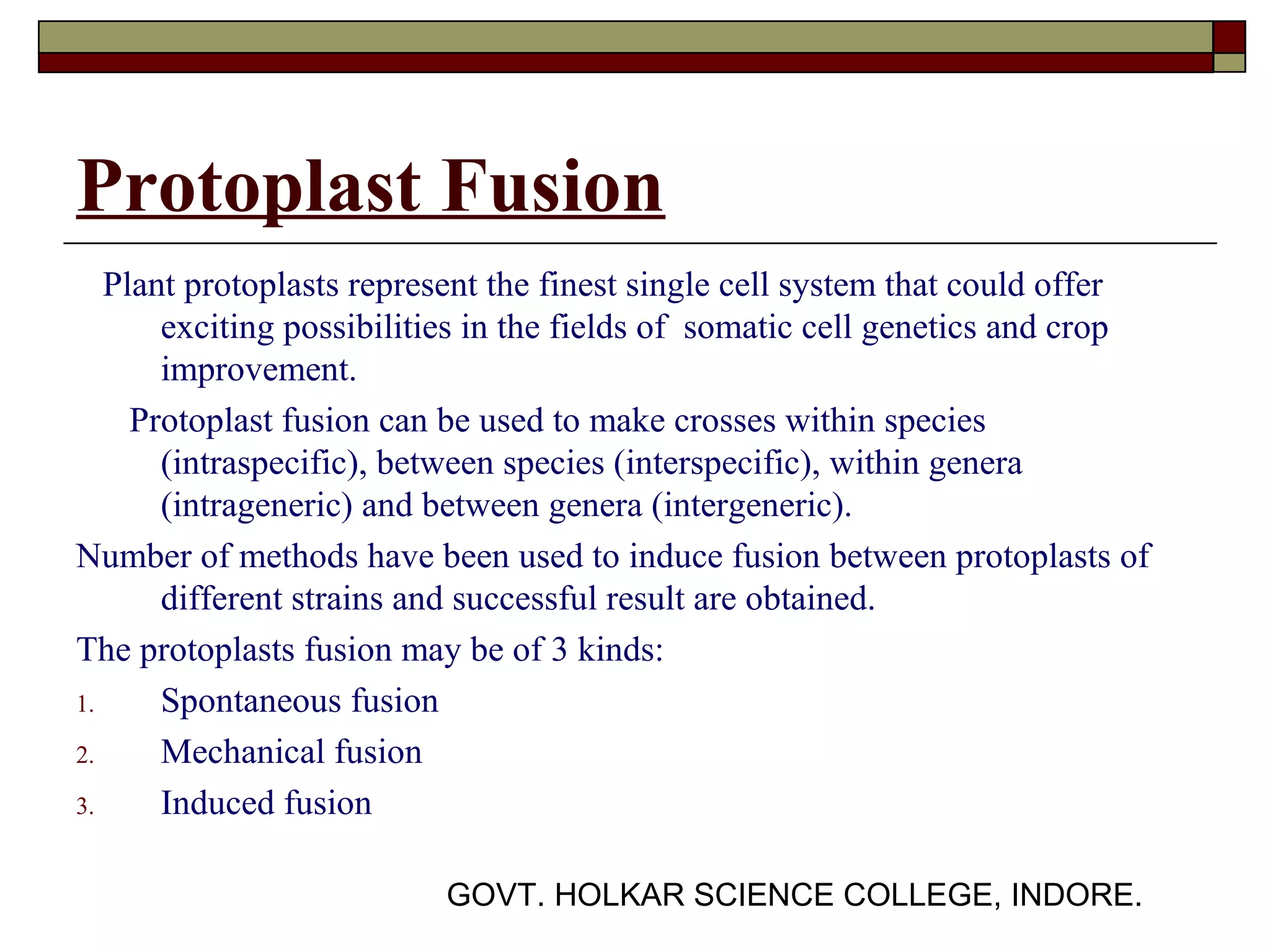 Protoplast isolation | PPT