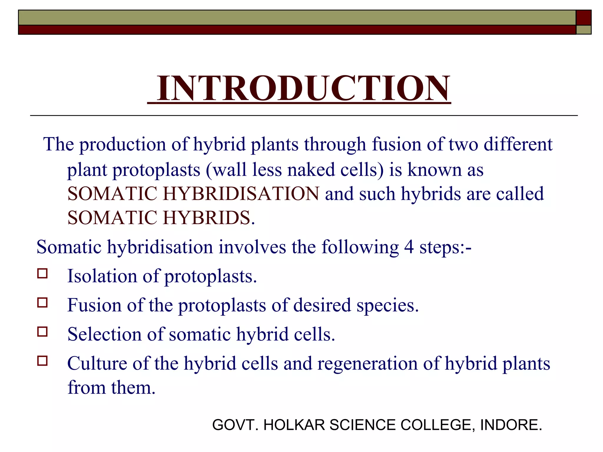 Protoplast isolation | PPT
