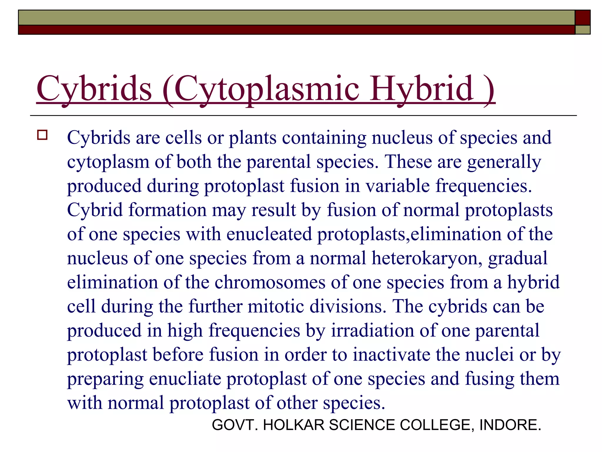 Protoplast isolation | PPT
