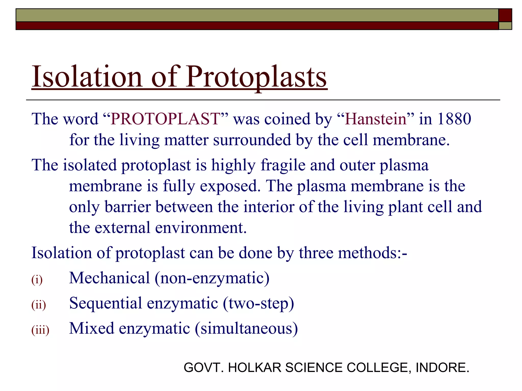 Protoplast isolation | PPT