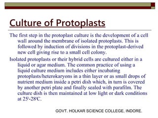 Protoplast isolation | PPT