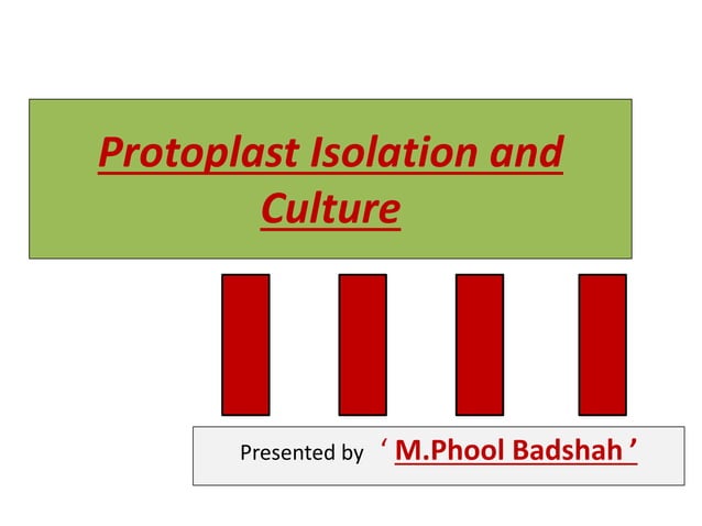 Protoplast Isolation and Culture.pptx