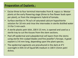 Protoplast Isolation and Culture.pptx