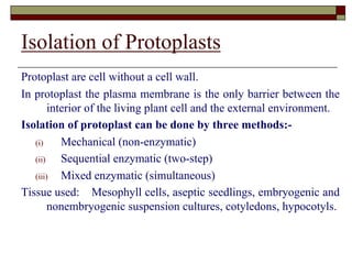 Protoplast isolation, culture and methods to check viability | PDF ...