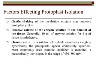Protoplast isolation, culture and methods to check viability | PDF ...