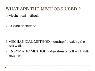 Protoplast isolation and culture (1) | PPTX