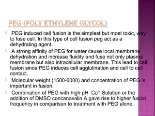 PROTOPLAST ISOLATION & FUSION | PPT