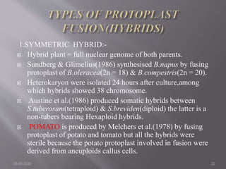Protoplast isolation and fusion | PPTX