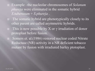 Protoplast isolation and fusion | PPTX
