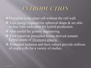 Protoplast isolation and fusion | PPTX