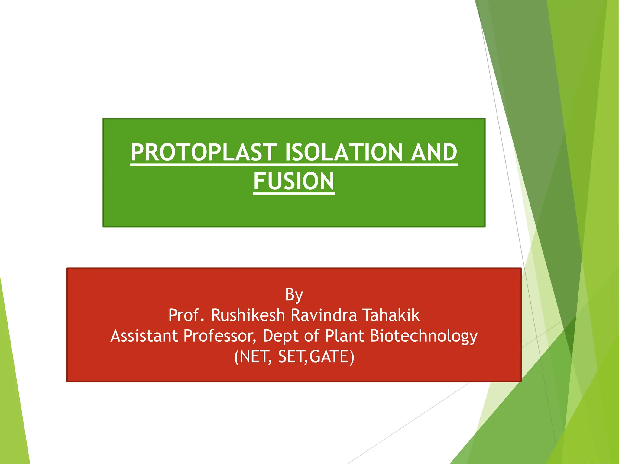 Protoplast Isolation And Fusion for crop improvement | PPT