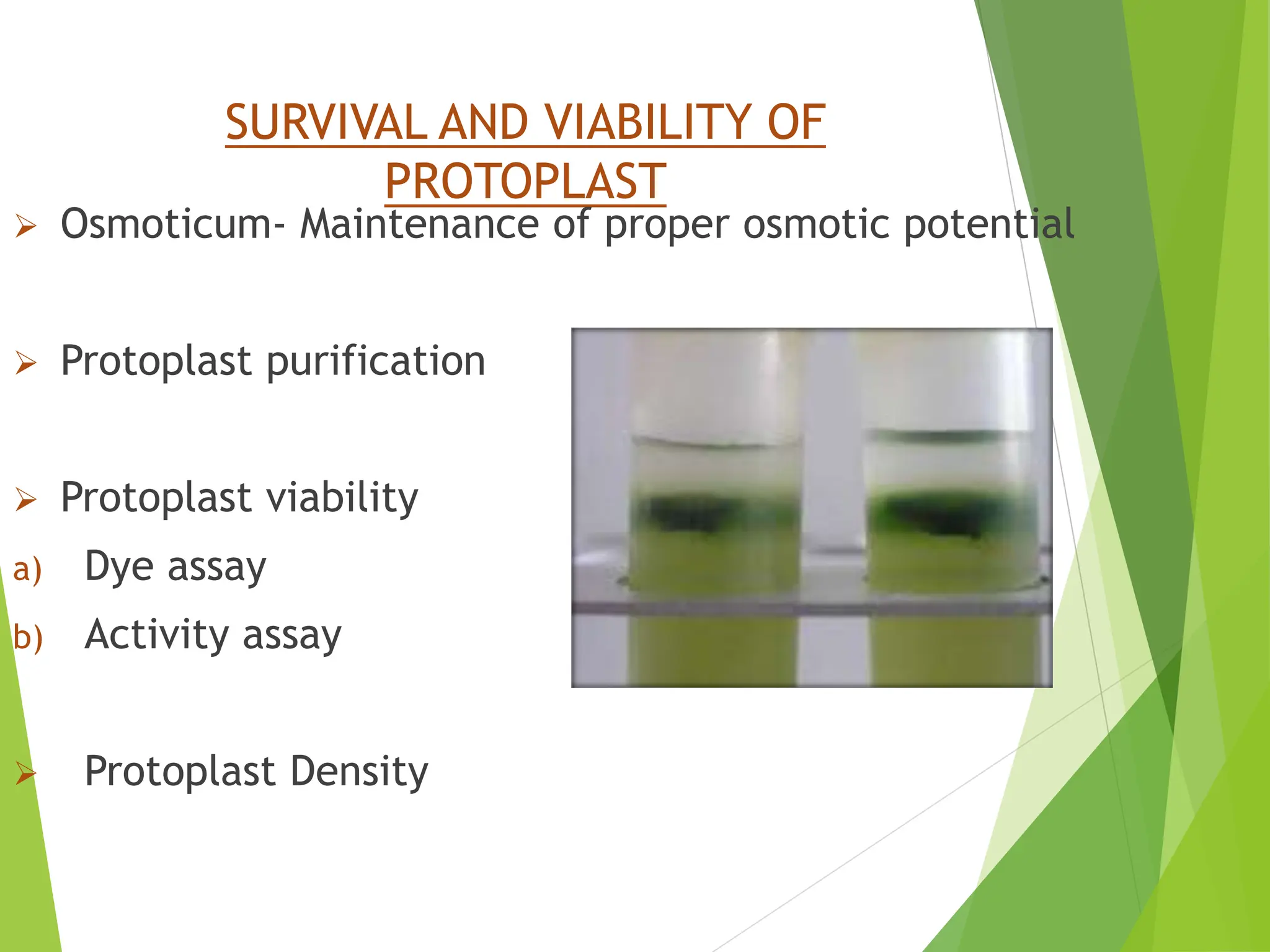 Protoplast Isolation And Fusion for crop improvement | PPT