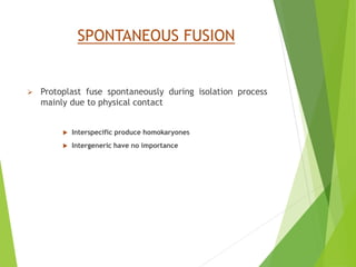 Protoplast Isolation And Fusion for crop improvement | PPT