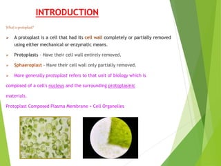Protoplast Isolation And Fusion for crop improvement | PPT