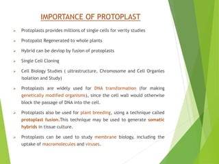 Protoplast Isolation And Fusion for crop improvement | PPT