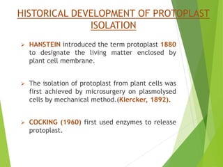 Protoplast Isolation And Fusion for crop improvement | PPT