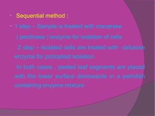 Protoplast isolation and immobiliz by Dr.U.Srinivasa | PPT