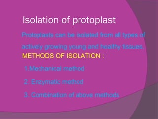 Protoplast isolation and immobiliz by Dr.U.Srinivasa | PPT