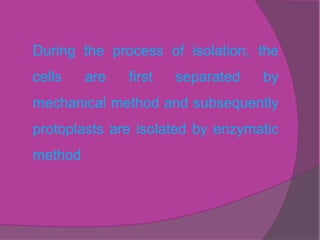 Protoplast isolation and immobiliz by Dr.U.Srinivasa | PPT