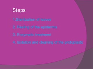 Protoplast isolation and immobiliz by Dr.U.Srinivasa | PPT
