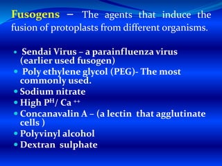 Protoplast Isolation Culture & Protoplast Fusion Technique SMG | PPTX