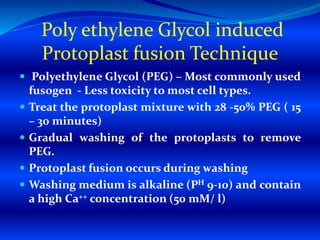 Protoplast Isolation Culture & Protoplast Fusion Technique SMG | PPTX