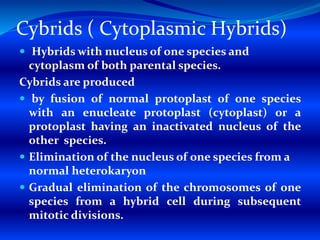 Protoplast Isolation Culture & Protoplast Fusion Technique SMG | PPTX