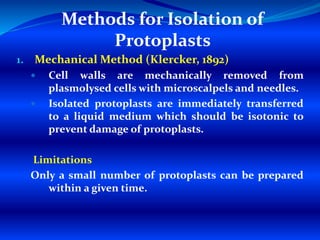 Protoplast Isolation Culture & Protoplast Fusion Technique SMG | PPTX