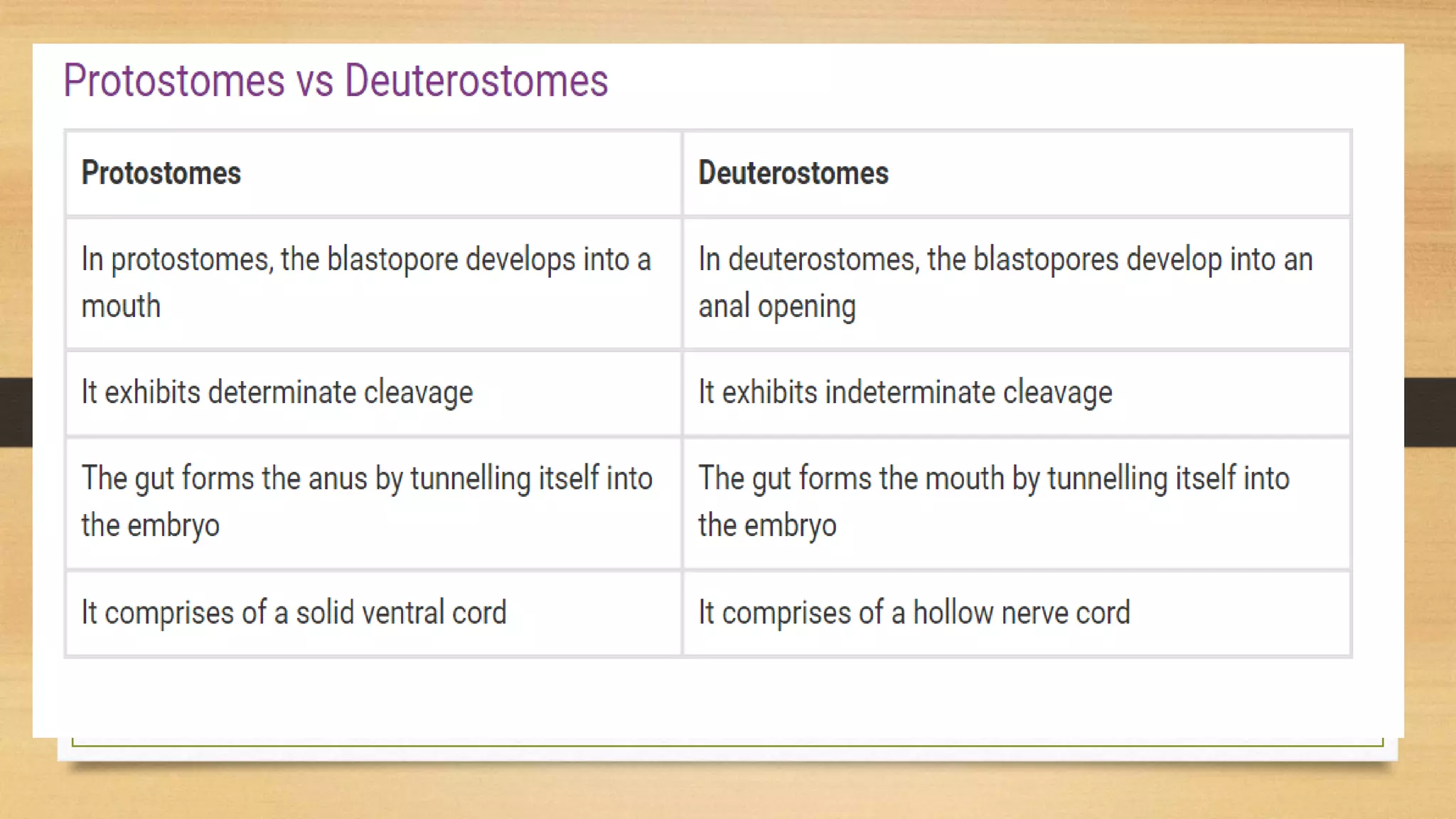 Protostomes and deuterostomes | PPTX | Biological Sciences | Science