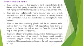 PROTOTHERIA AND AFFINITIES OF PROTOTHERIA | PPTX