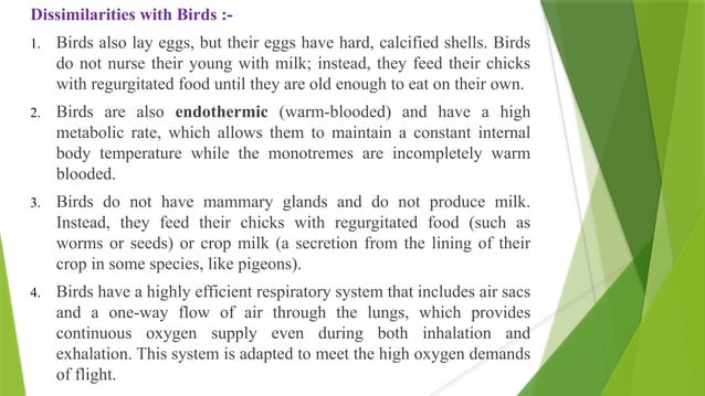 PROTOTHERIA AND AFFINITIES OF PROTOTHERIA | PPTX