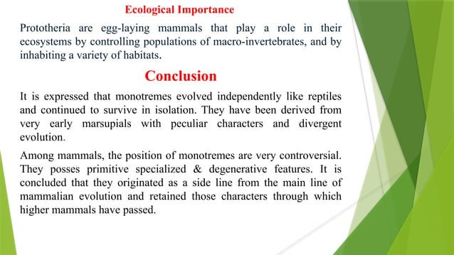 PROTOTHERIA AND AFFINITIES OF PROTOTHERIA | PPTX